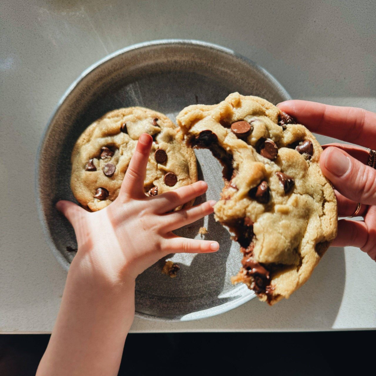 Two Huge Chocolate Chip Cookies Recipe - Pinch of Yum