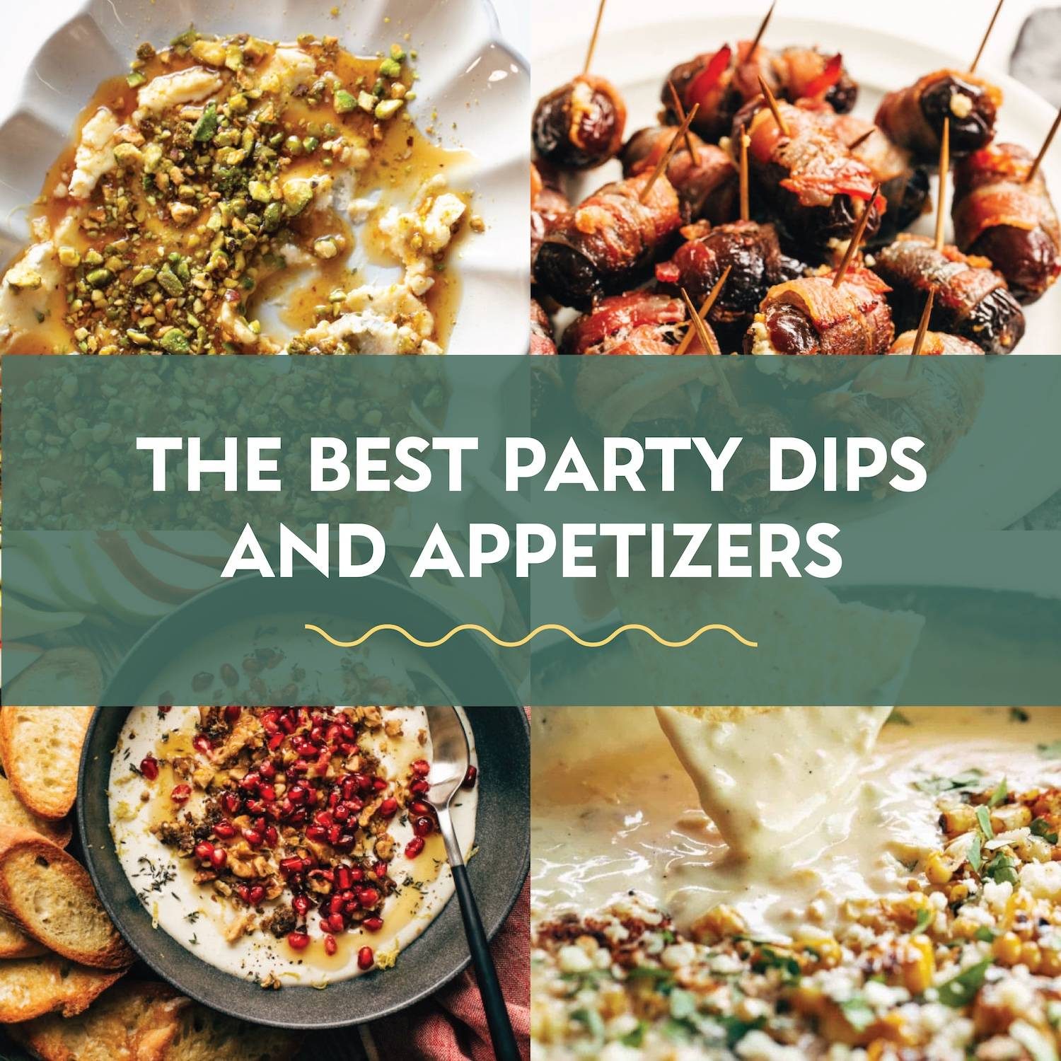 20 Best Appetizers and Dips For A Party - Pinch of Yum