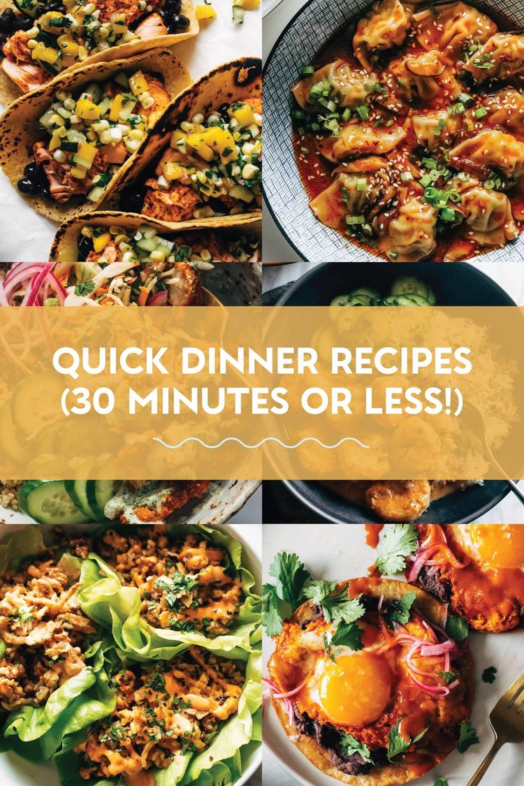 40 Delicious + Quick Dinner Recipes (Under 30 Minutes!) - Pinch of Yum