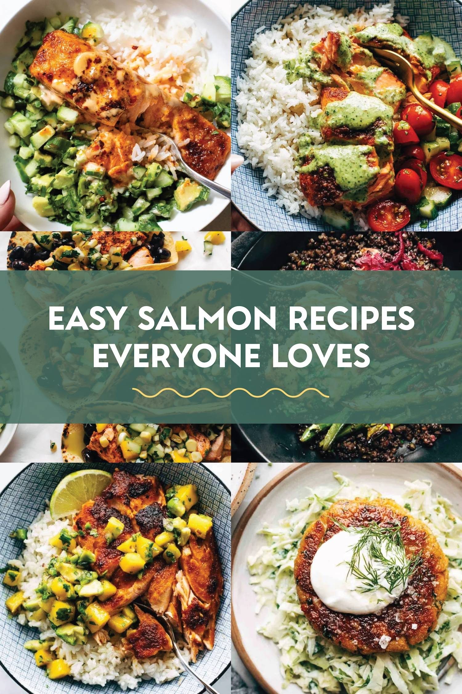 16 Easy Salmon Recipes Everyone Loves - Pinch of Yum
