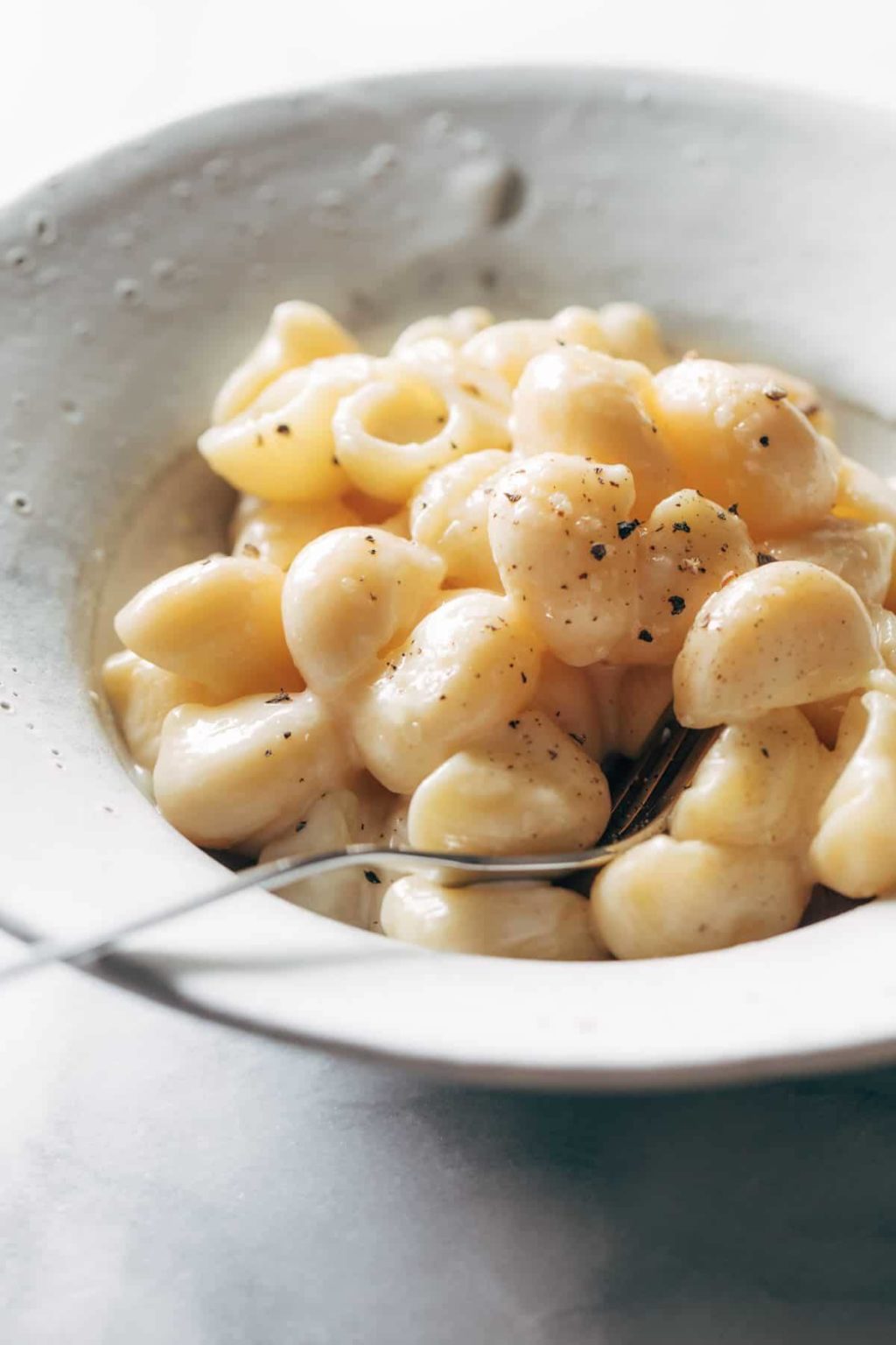 Garlic Parmesan Shellbows Recipe - Pinch of Yum