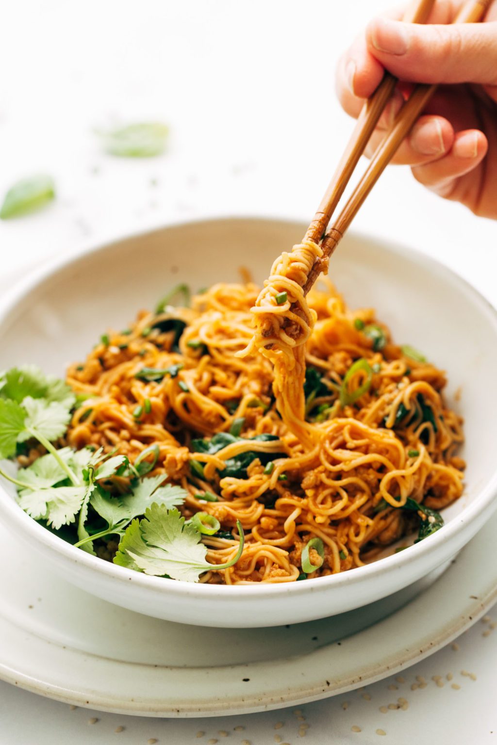 Saucy Gochujang Noodles with Chicken Recipe - Pinch of Yum