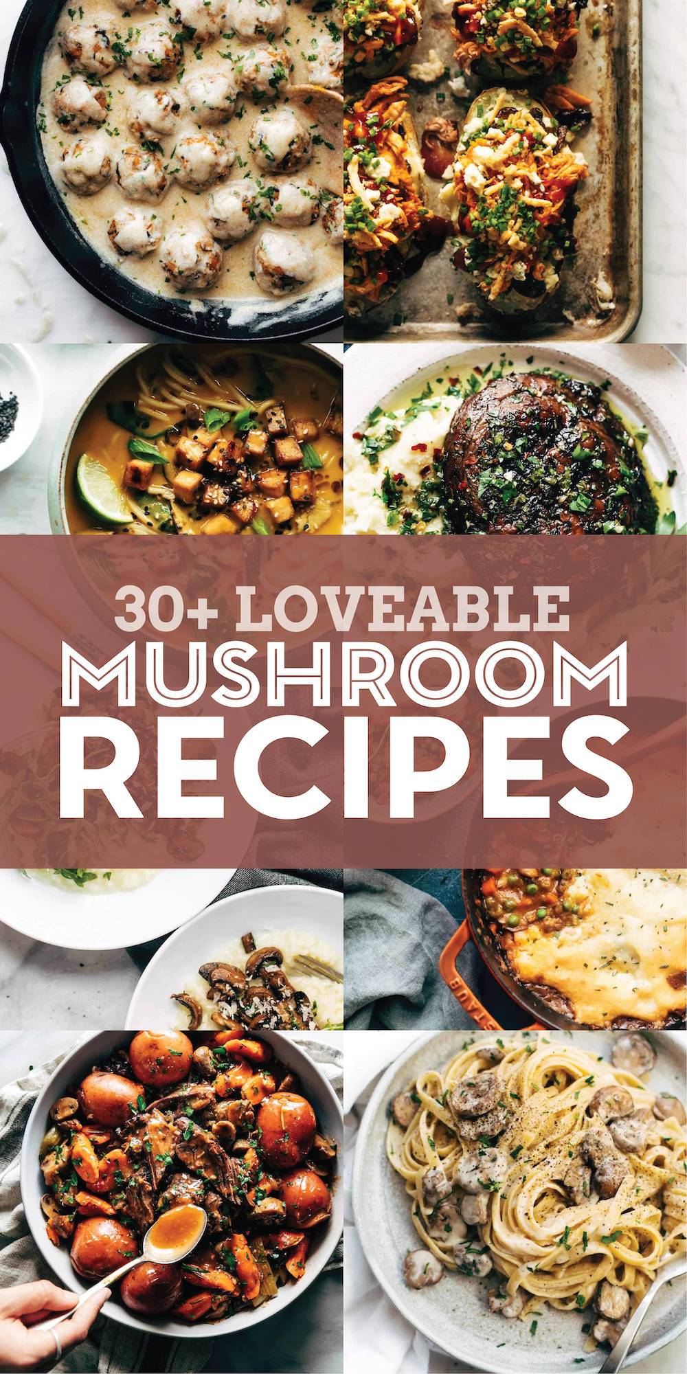 Mushroom Recipes - Pinch of Yum