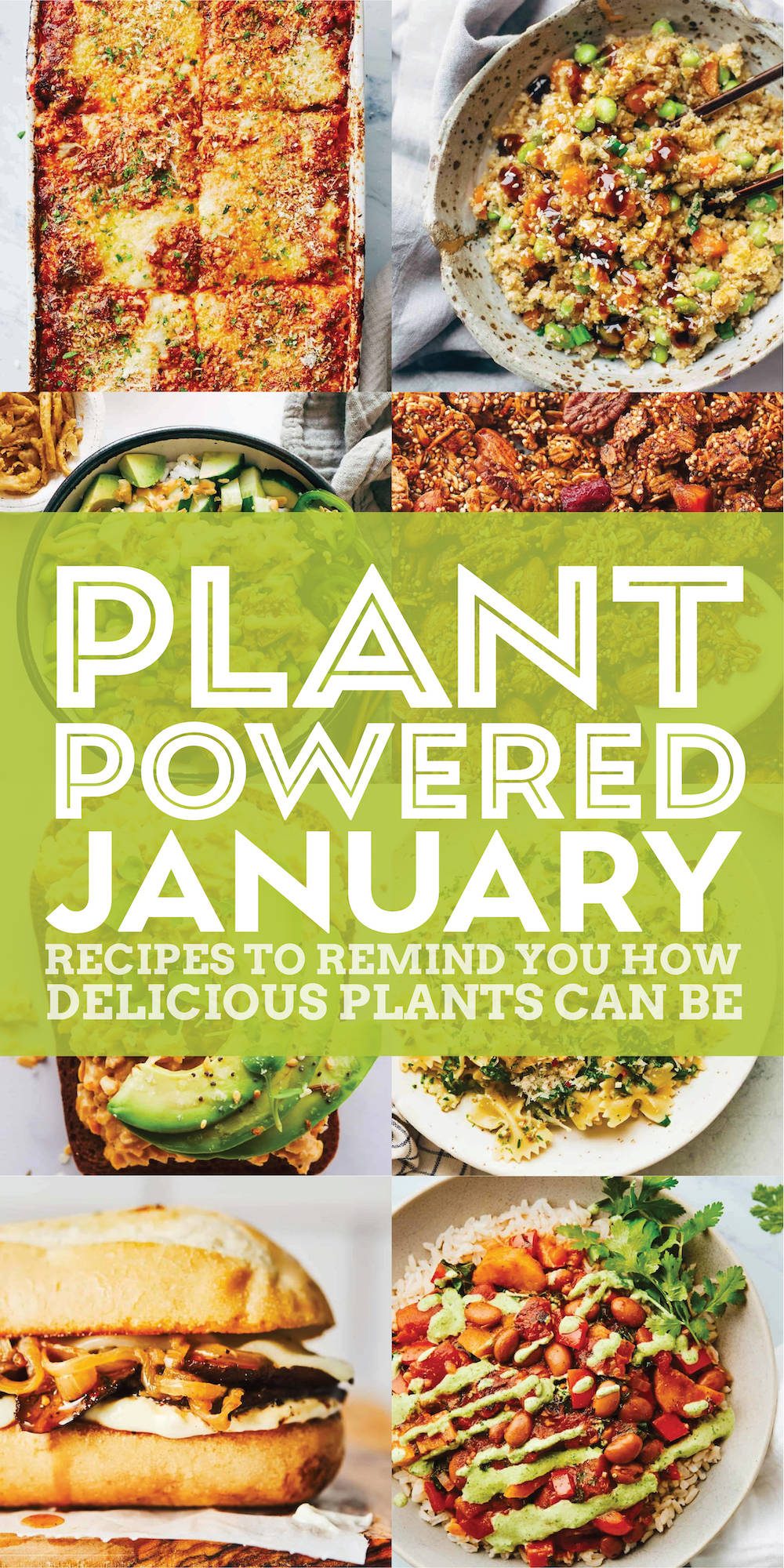 Plant-Powered January Recipes - Pinch of Yum