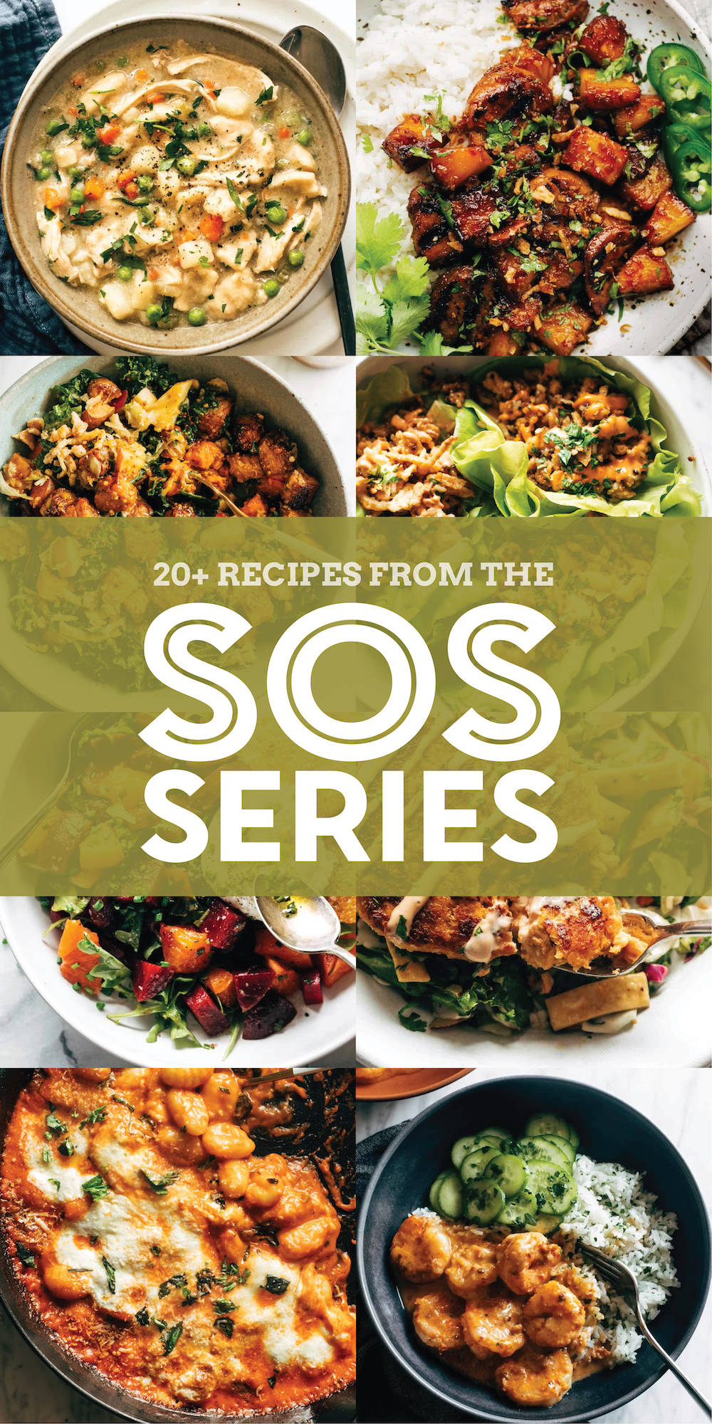 SOS Series Recipes - Page 7 of 7 - Pinch of Yum
