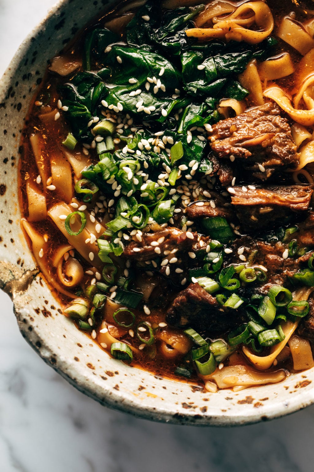 Instant Pot Spicy Short Rib Noodle Soup Recipe - Pinch of Yum