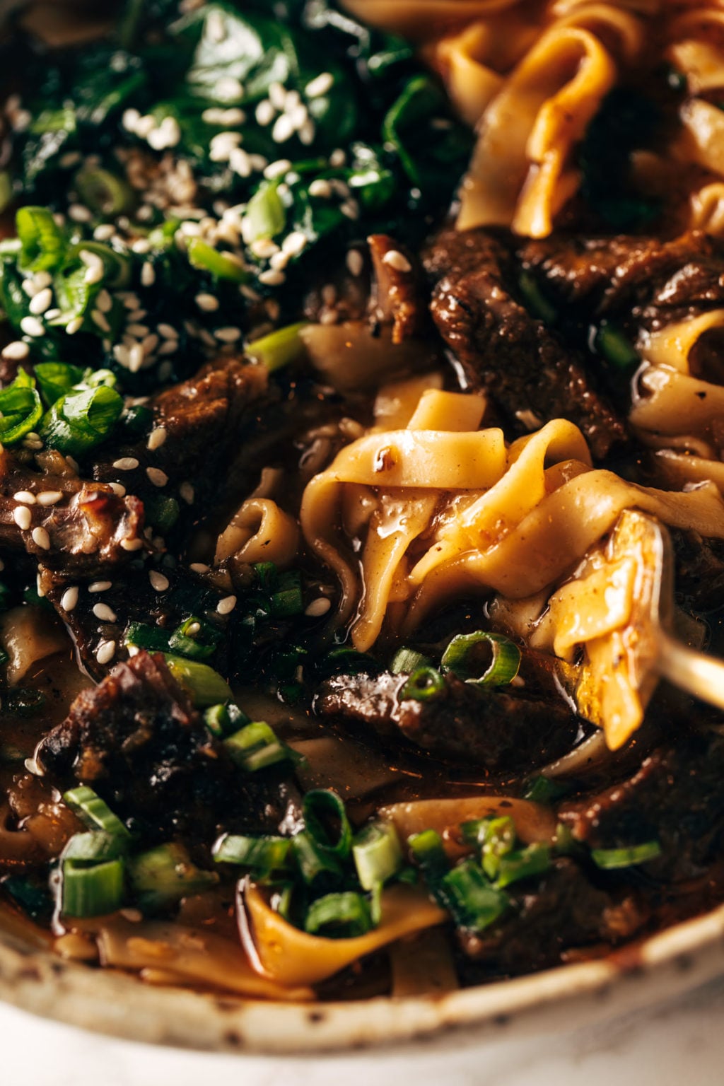 Instant Pot Spicy Short Rib Noodle Soup Recipe - Pinch of Yum