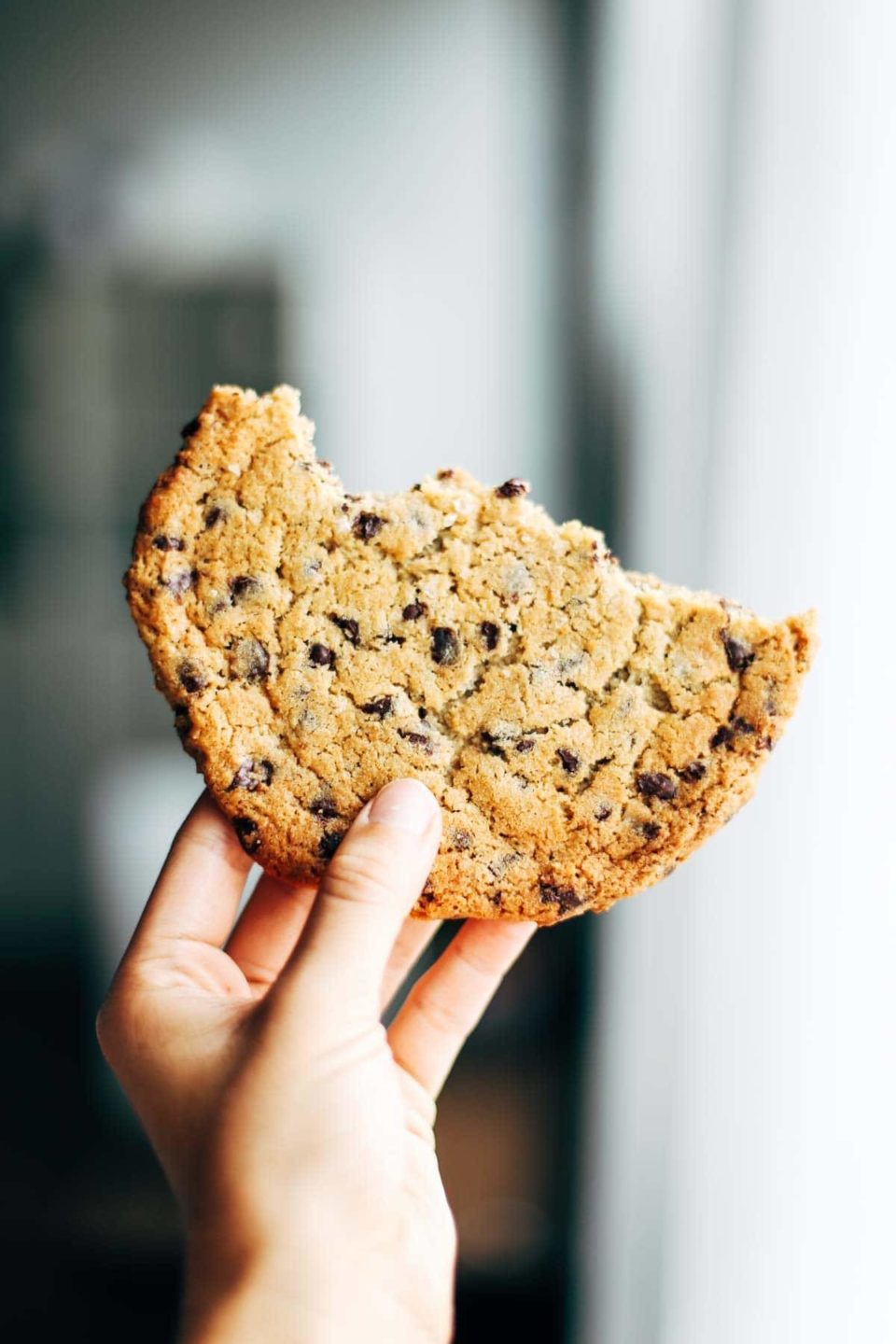 Our First Ever Tasty Food Photography Workshop - Pinch of Yum