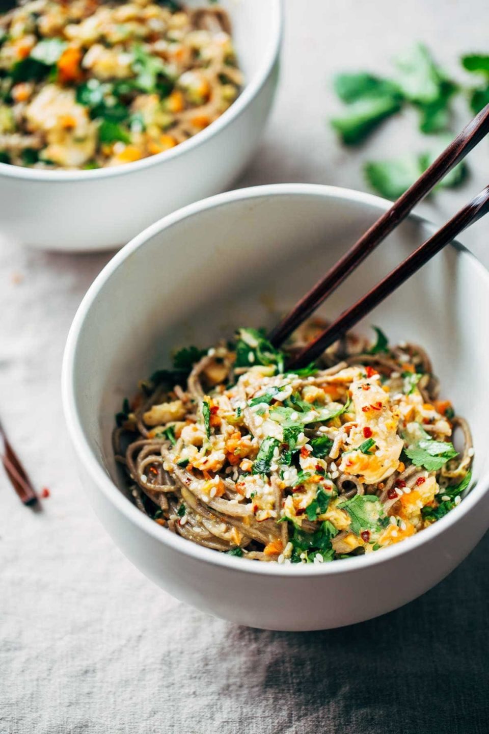 Chopped Chicken Sesame Noodle Bowls Recipe - Pinch of Yum